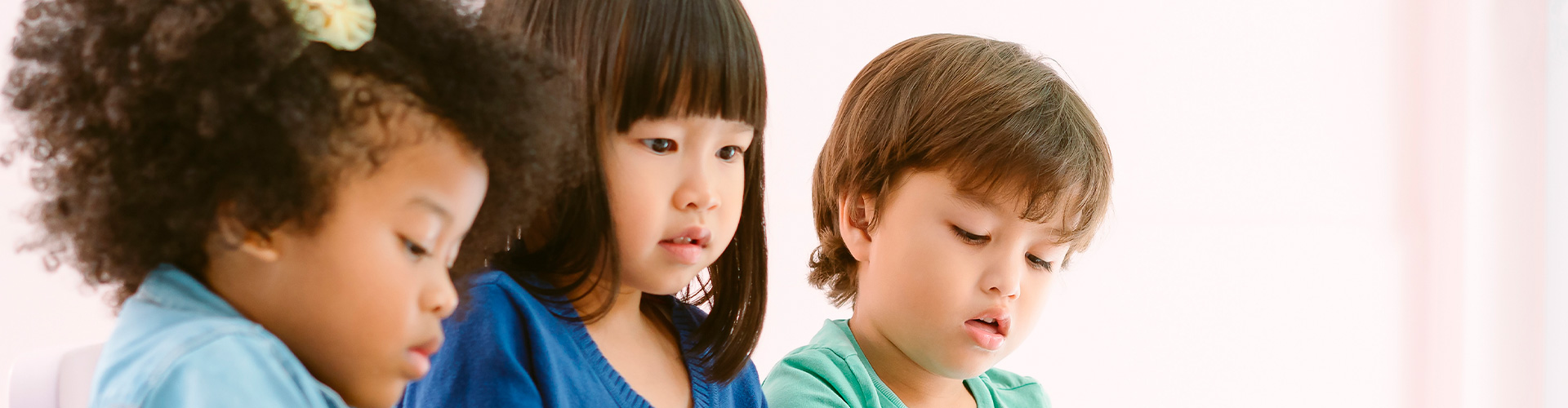 Michigan Pupil Accounting and Attendance Association - Photo Gallery